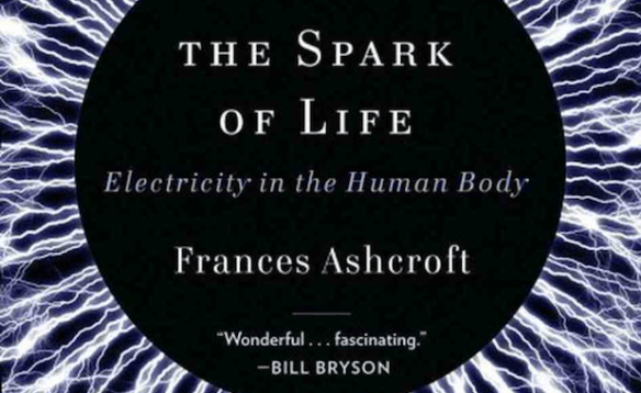 Bill Ashcroft Quotes